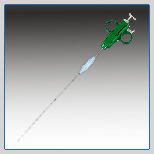 Histologic – Renal Medical