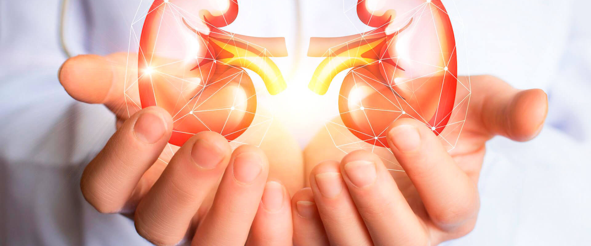 Renal Medical | Su aliado incansable en la búsqueda de salvar vidas