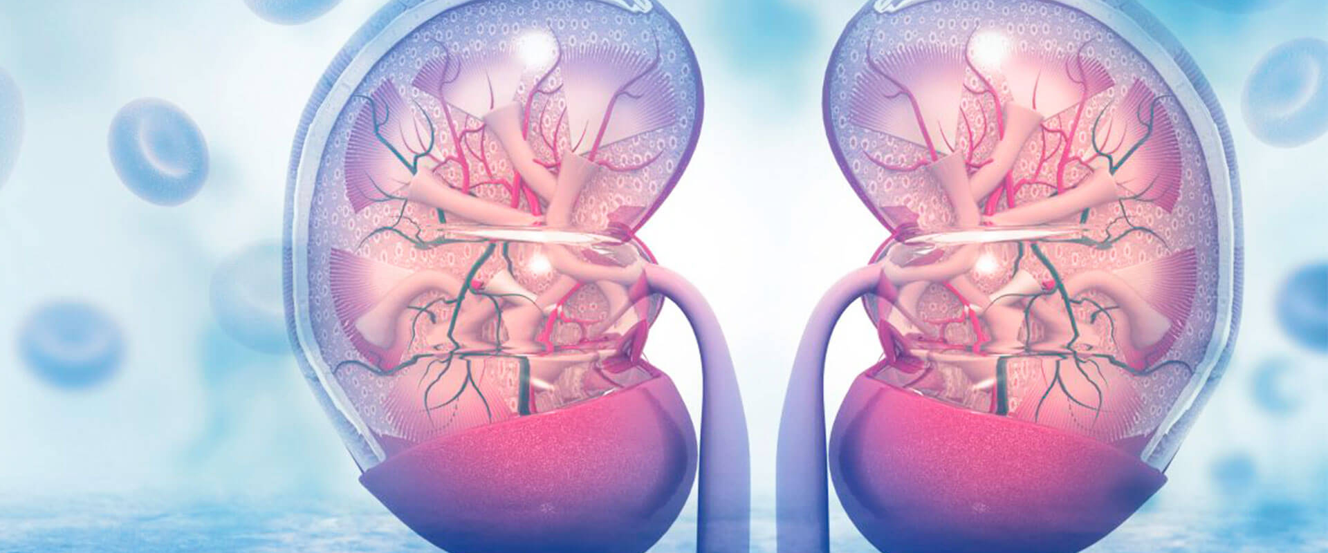 Renal Medical | Su aliado incansable en la búsqueda de salvar vidas